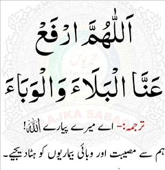 Lady Driven BMW 52i 2013 | dubizzle Dubai