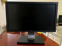 Dell 21 Monitor