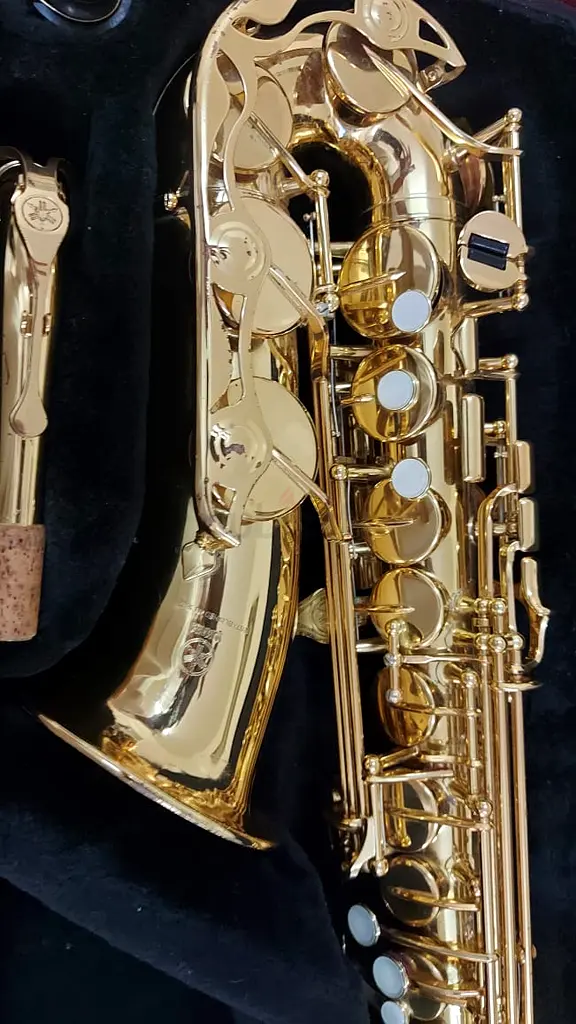 Buy & sell any Saxophone online - 17 used Saxophone for sale in Dubai ...