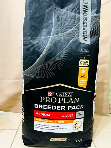 Pets online - 4053 Pets in All Cities (UAE) | price list | dubizzle Page-4