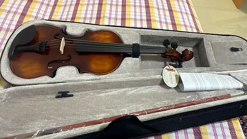 Buy & sell any Viola & Violin online - 80 used Viola & Violin for sale ...