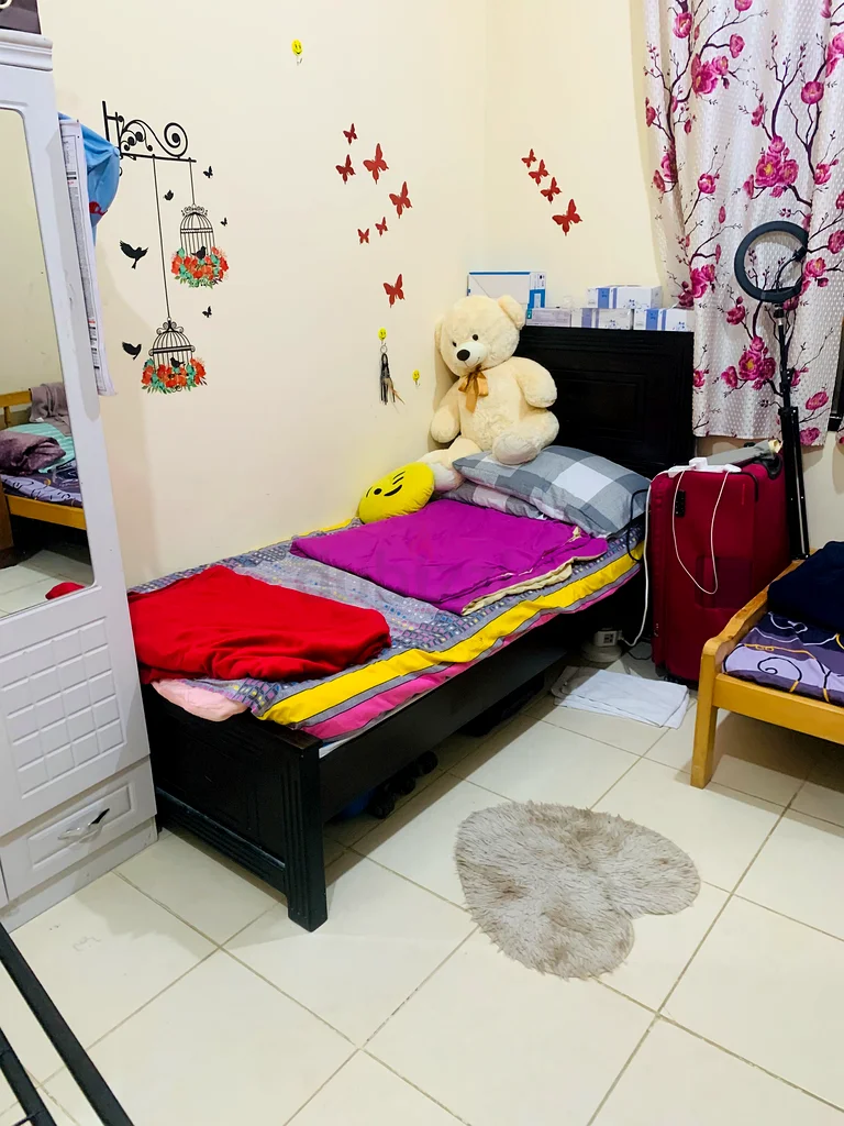 Apartment: Big executive ladies bed space in shabia 10 | dubizzle Dubai