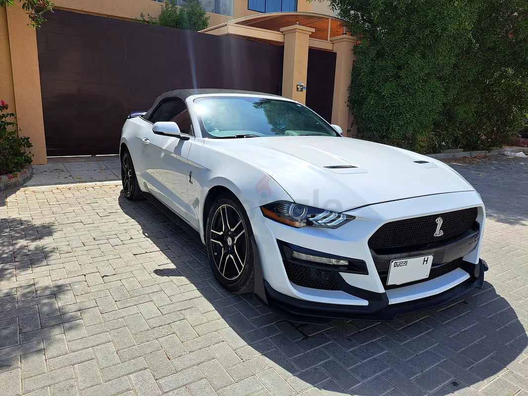 Ford mustang ecoboost premium full option 2019 shelby | dubizzle