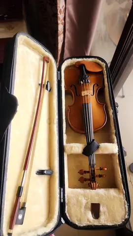 Buy & sell any Viola & Violin online - 97 used Viola & Violin for sale ...