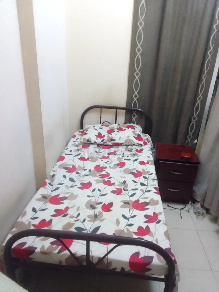 Apartment: Executive bed space available for bachelors | dubizzle Sharjah
