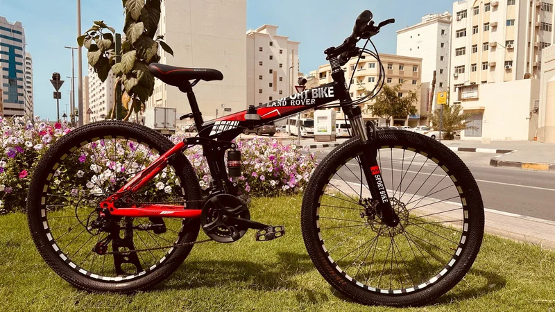 Dubizzle bicycle store