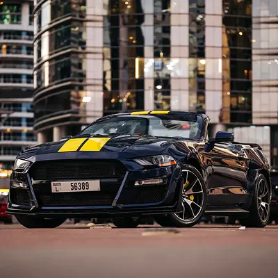 Rent Ford Mustang Standard in Dubai | dubizzle