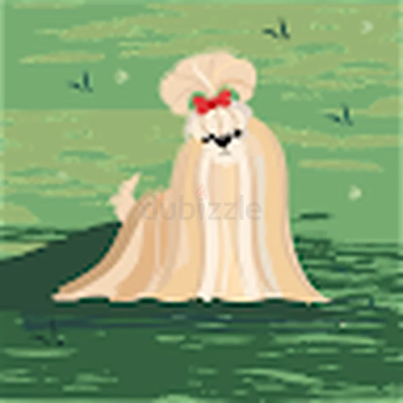 2024 JAC JS6 Comfort | 6k KM | Full Warranty* Service History ...