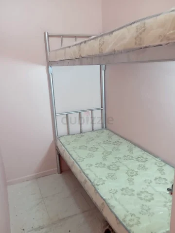 Room Apartments for rent in Dubai - Shared Flats rental | dubizzle