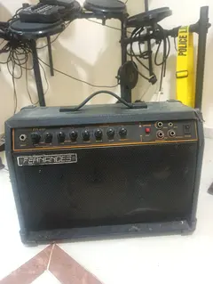 Professional Fernandes Guitar Amplifier for Musicians! | dubizzle