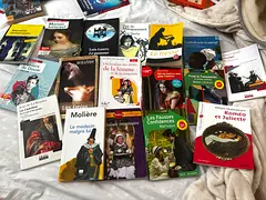 Collection of French Literature and Childrens Books | dubizzle
