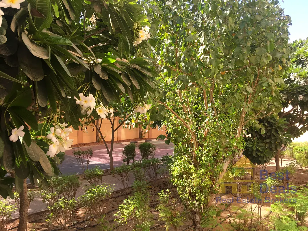 Apartment: DIP, Ritaj, Studio Apartment With Balcony, Garden Area View ...