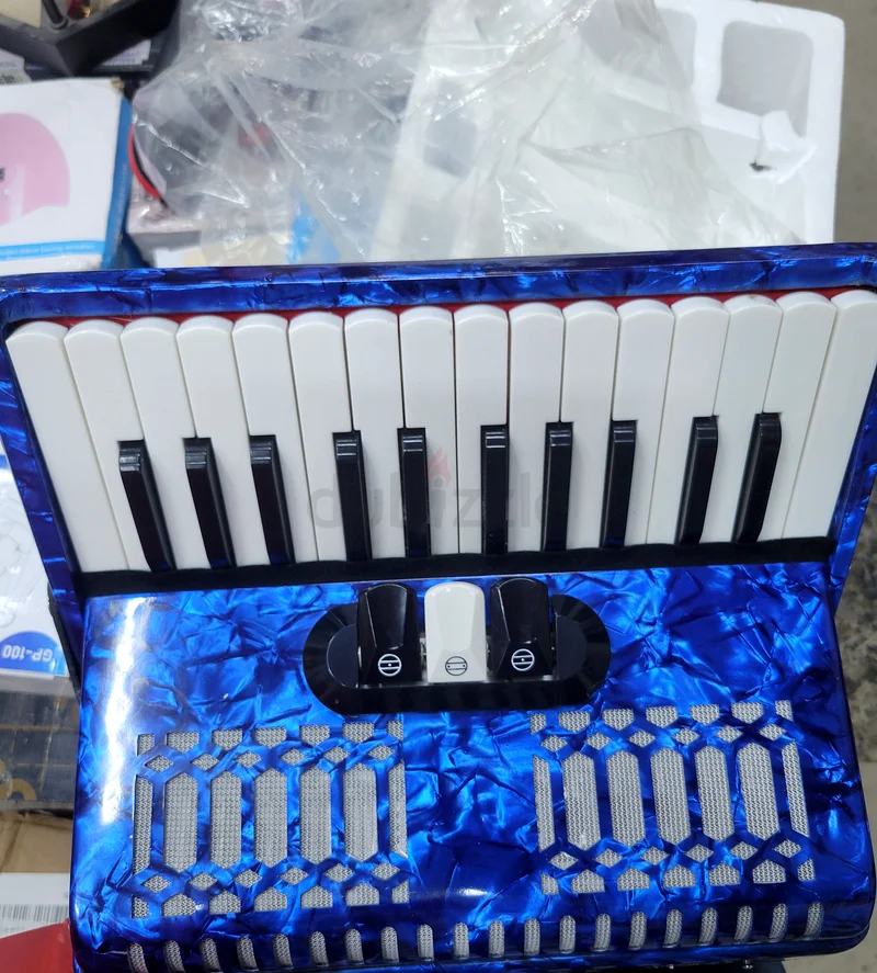 IRIN 26 Key 48 Bass Piano Keyboard Instrument, Strong Bass Penetrating ...