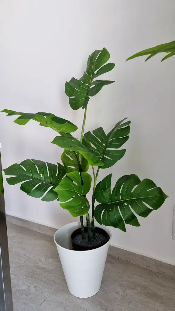 IKEA Artificial Monstera Plant for a Lively Home Décor | dubizzle