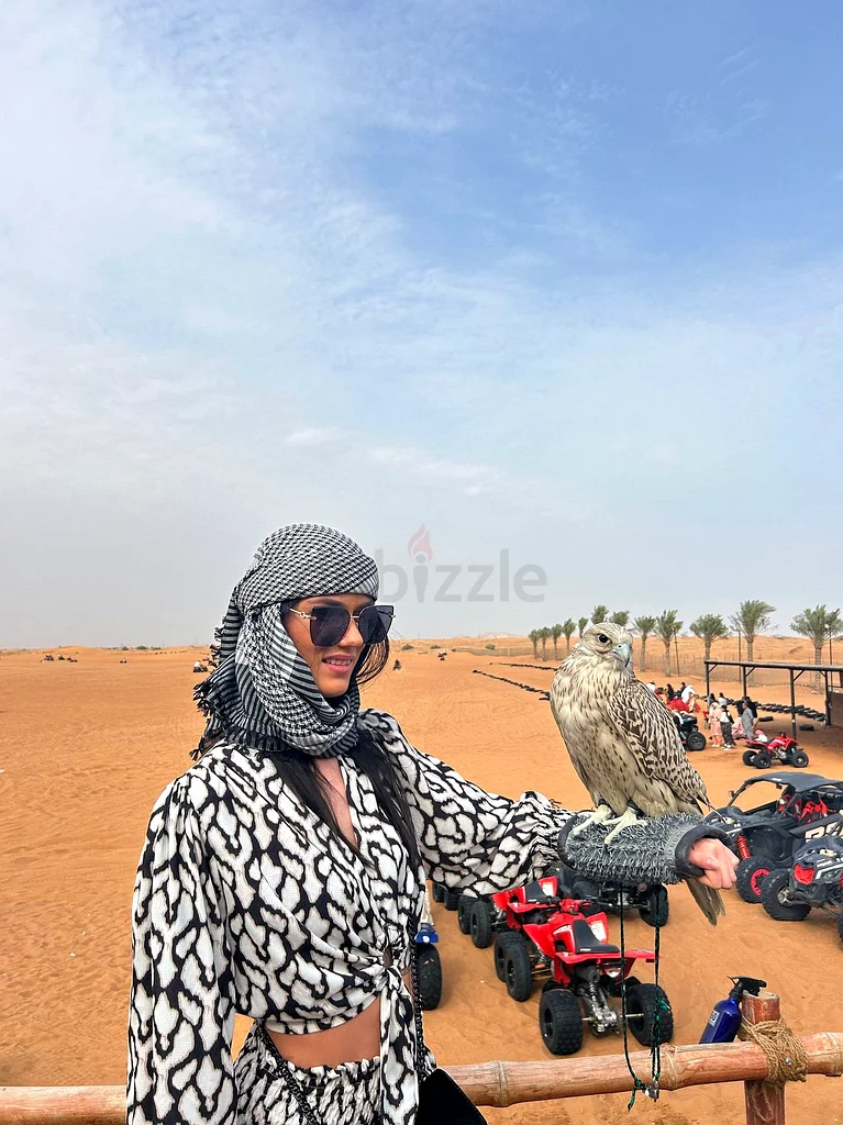 Desert Safari Dubai – Culture Hub Tourism Dubai Desert Safari with BBQ, Camel Ride Quad Bike Adv ...