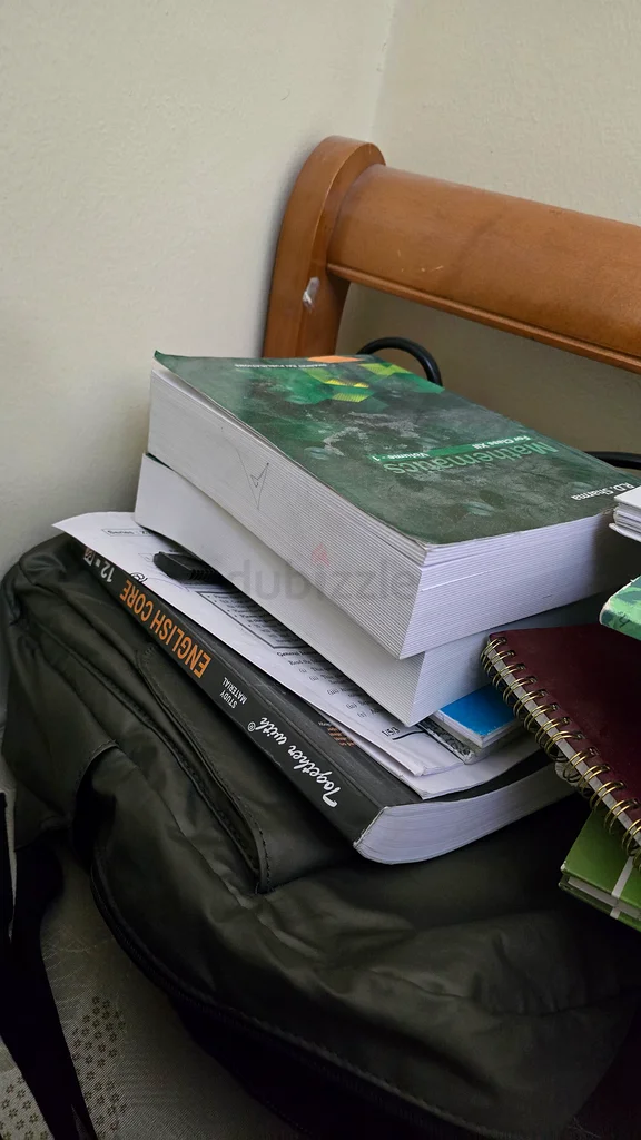 Assorted Collection of Textbooks and Study Materials Class 11 and 12 ...