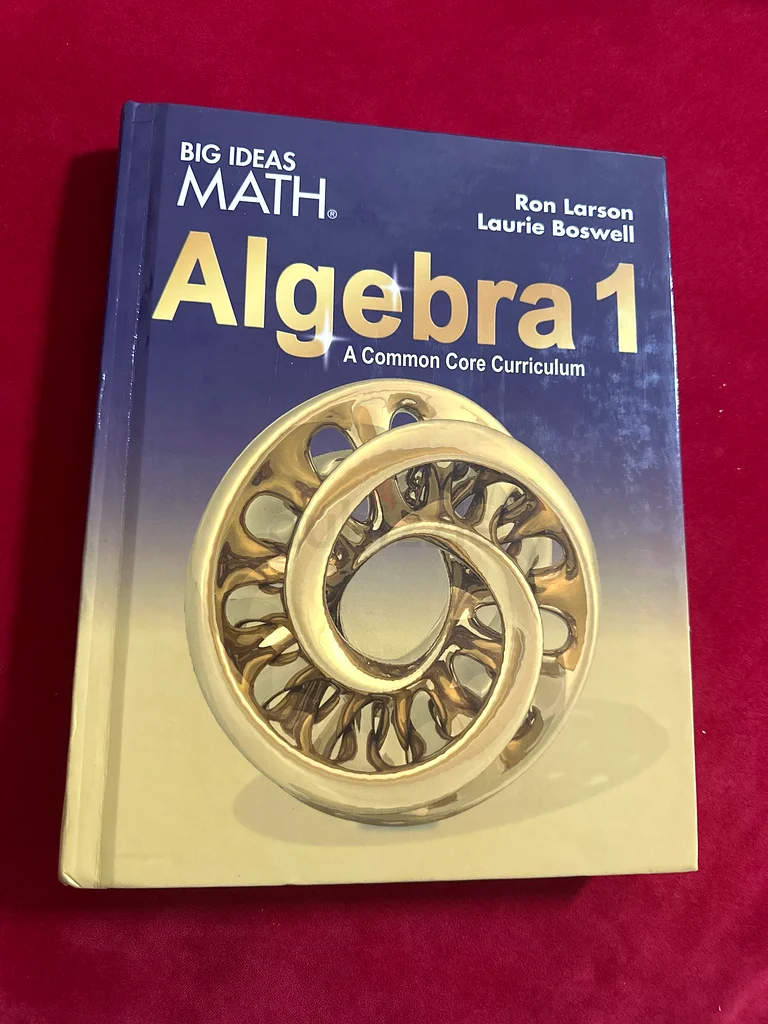 Big Ideas Math: Algebra 1 Textbook | dubizzle Abu Dhabi