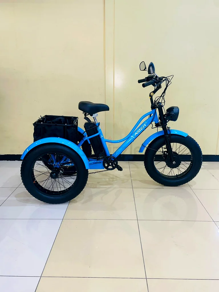 Electric Trike Fat Tire 3 Wheel Electric Tricycle Wheels Adult Cargo ...