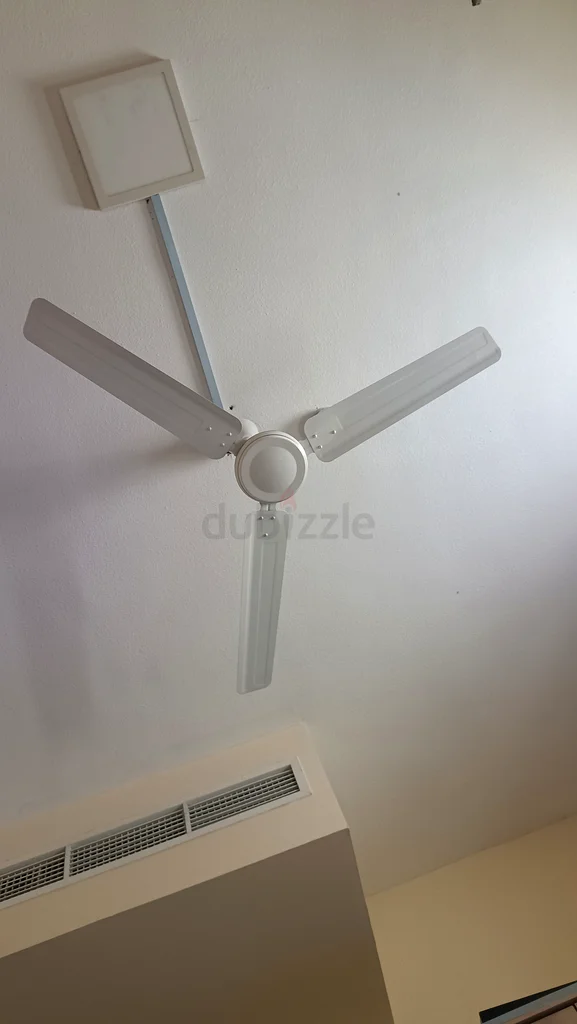 Ceiling fan with wall fan | dubizzle Sharjah