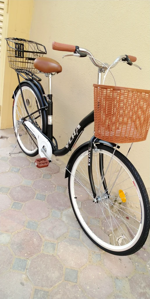 Cruiser bicycle brand new high quality strong bike free delivery ...