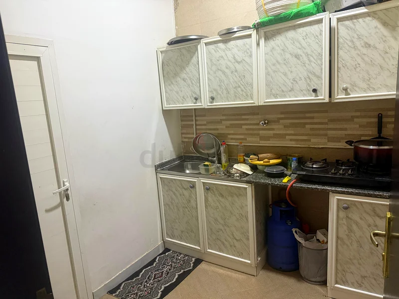 Villa: One BHK is shared with Executive bachelor at MBZ Zone-31 ...