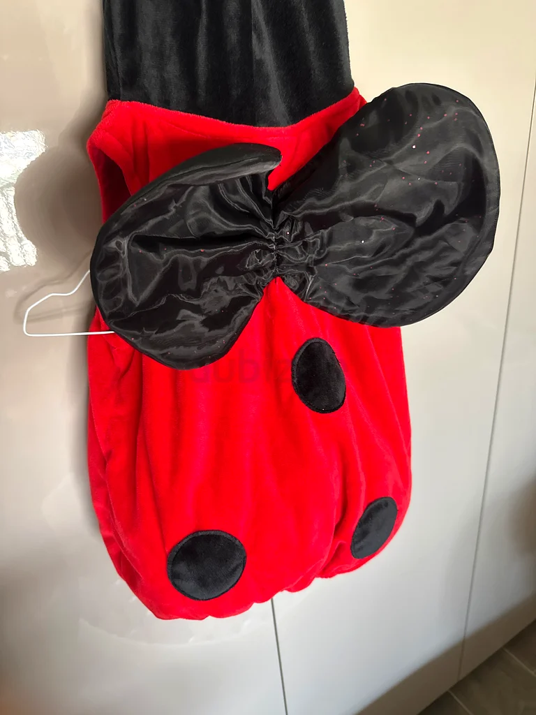 Ladybird toddler Halloween costume | dubizzle