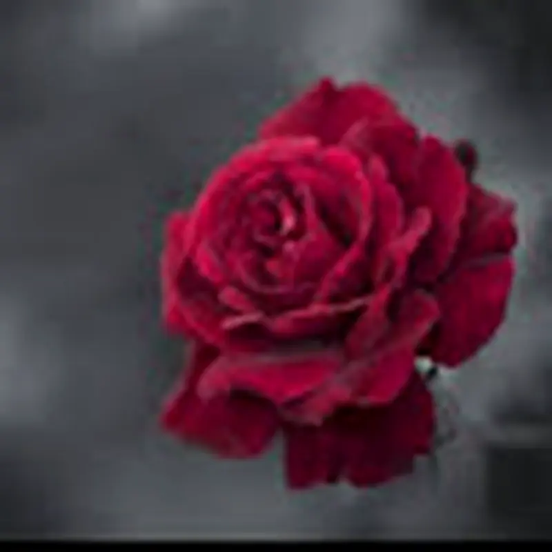 سيارة شيفروليه كابتيفا 2021 ب 33000 قابل للتفاوض بالمعقول. | dubizzle Abu Dhabi