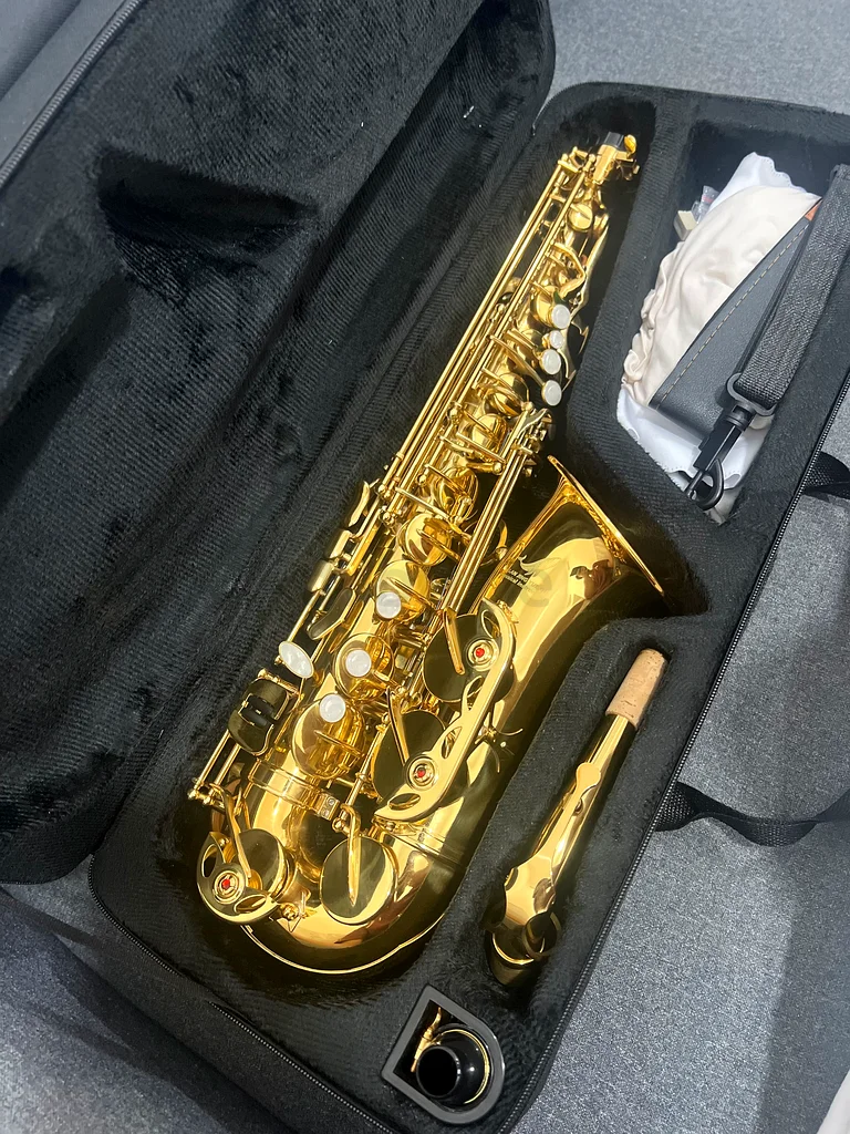 Saxophone Alto Eb flat Professional 850 aed | dubizzle