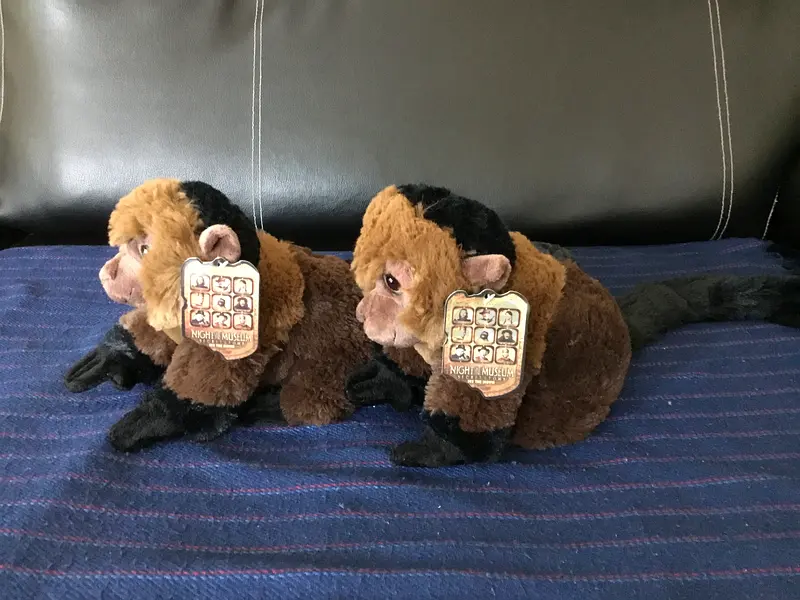 2 ‘Night at the Museum’ Dexter 8” Plush Toys | دوبيزل دبي