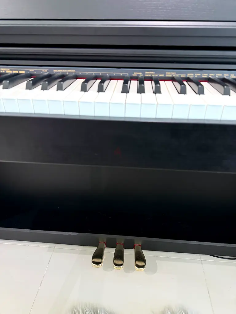 Casio AP-270 Celviano 88-Key Digital Piano with Bench - Black, Casio ...