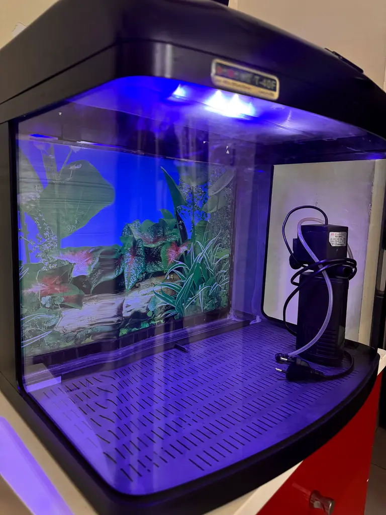 Stylish Fish Tank with LED Lighting and mother with stones | dubizzle ...