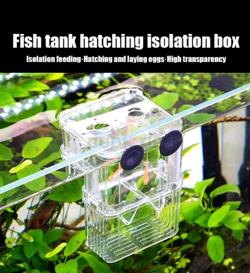 Hatching isolation box | dubizzle Sharjah