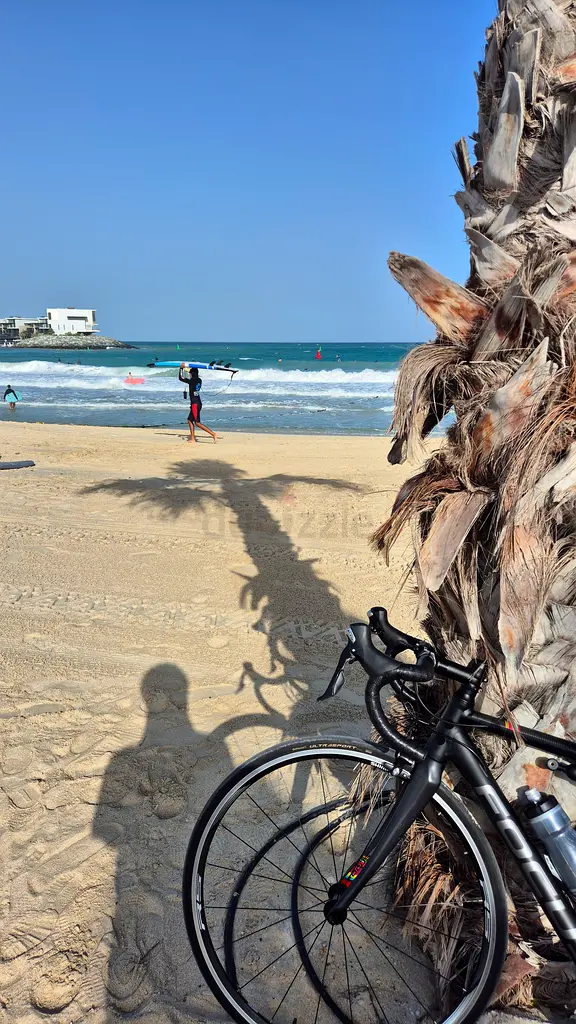 Focus Izalco Race 6.9 Road bike Bicycle | dubizzle Dubai