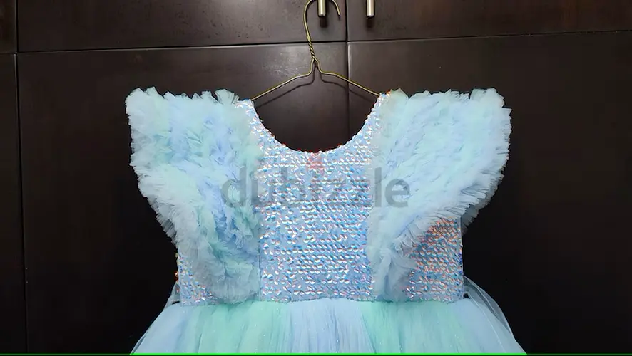 Brand New Princess dress for 6 years old | dubizzle Dubai