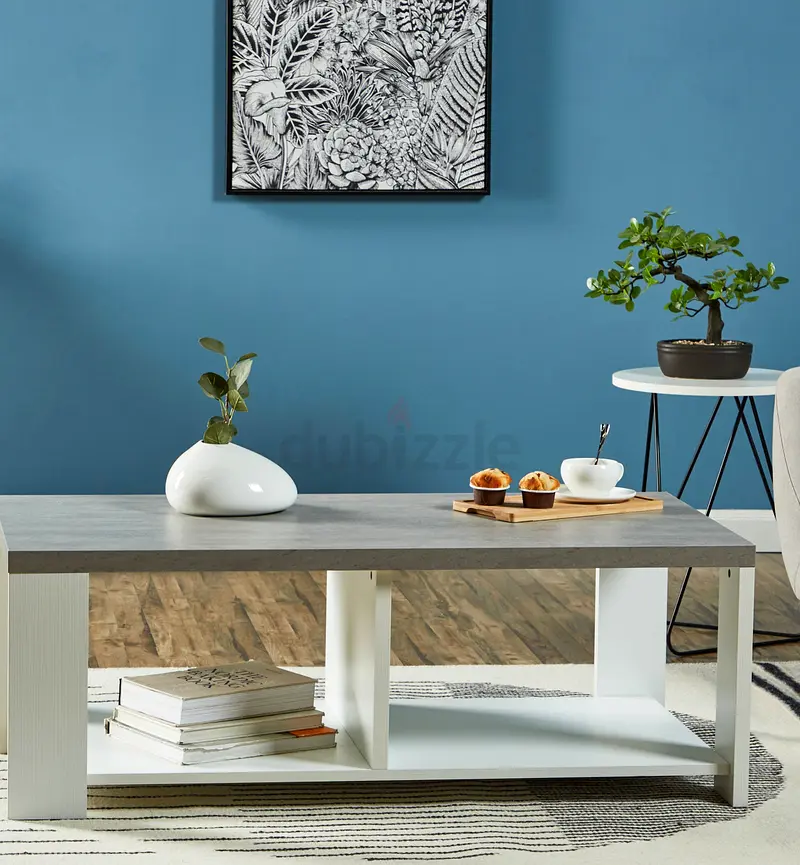 Barley Used Home Center Coffee Table | dubizzle Dubai