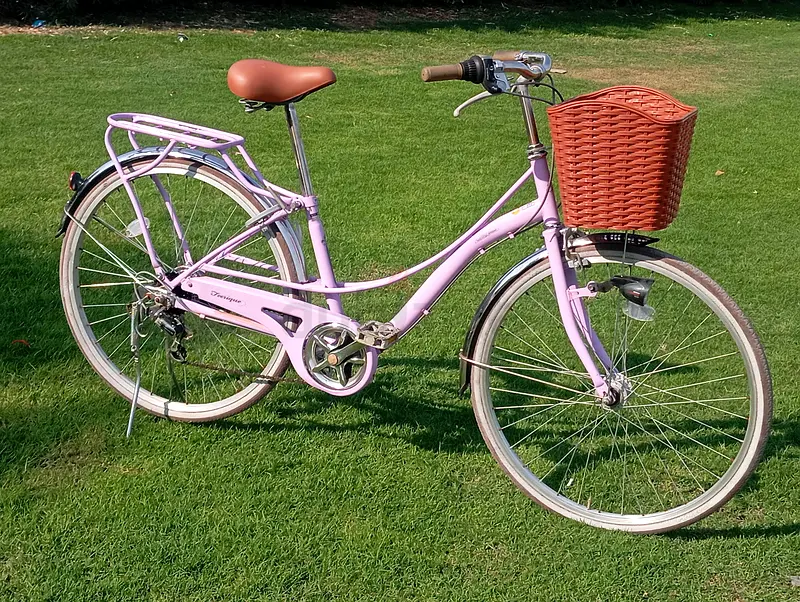 Ladies cruiser bike | dubizzle Dubai