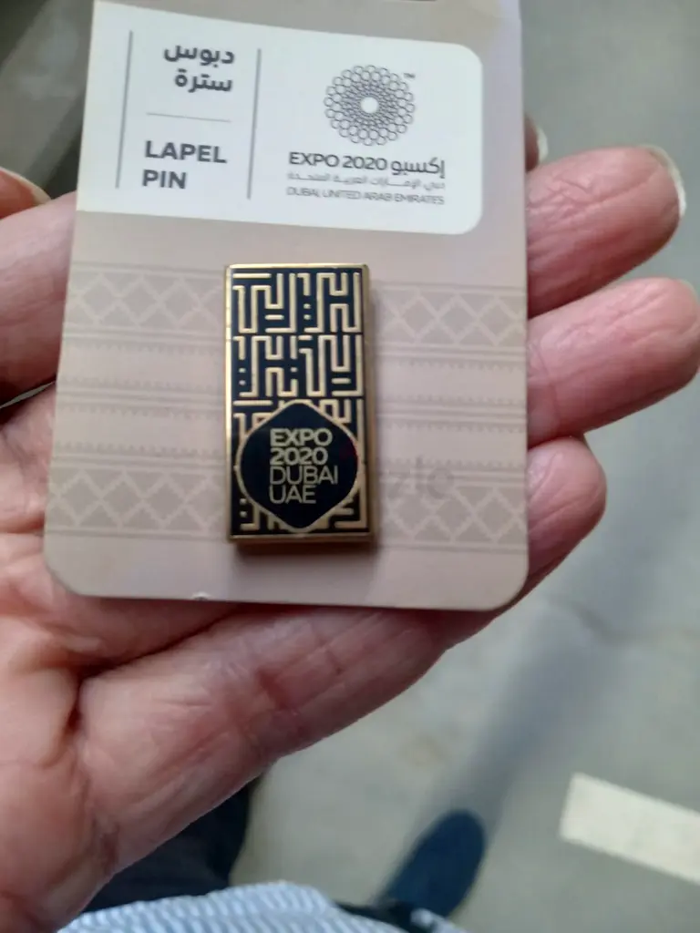 Expo 2020 Dubai Lapel Pin - A Unique Collectible 2 pins QUICK SALE ...