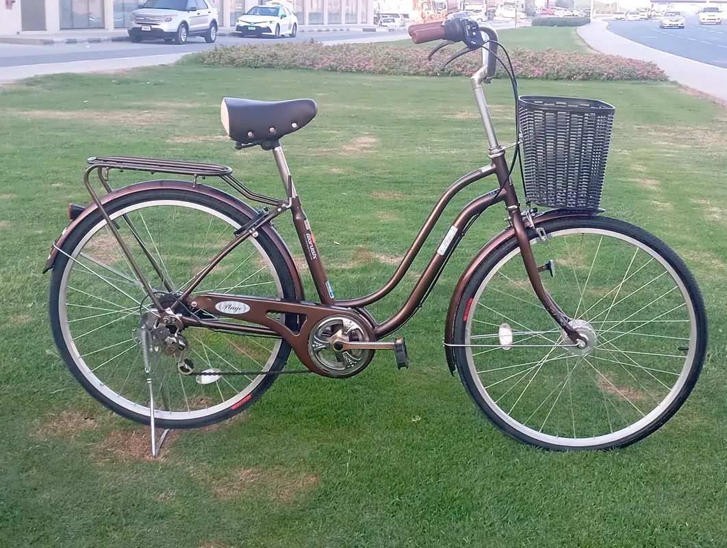 Ladies cruiser bike | dubizzle Dubai