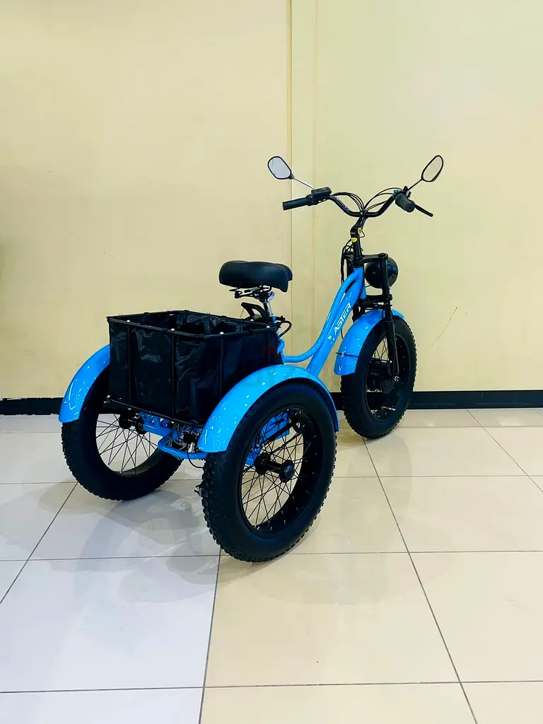 Electric Trike Fat Tire 3 Wheel Electric Tricycle Wheels Adult Cargo Electric Bike With Basket ...