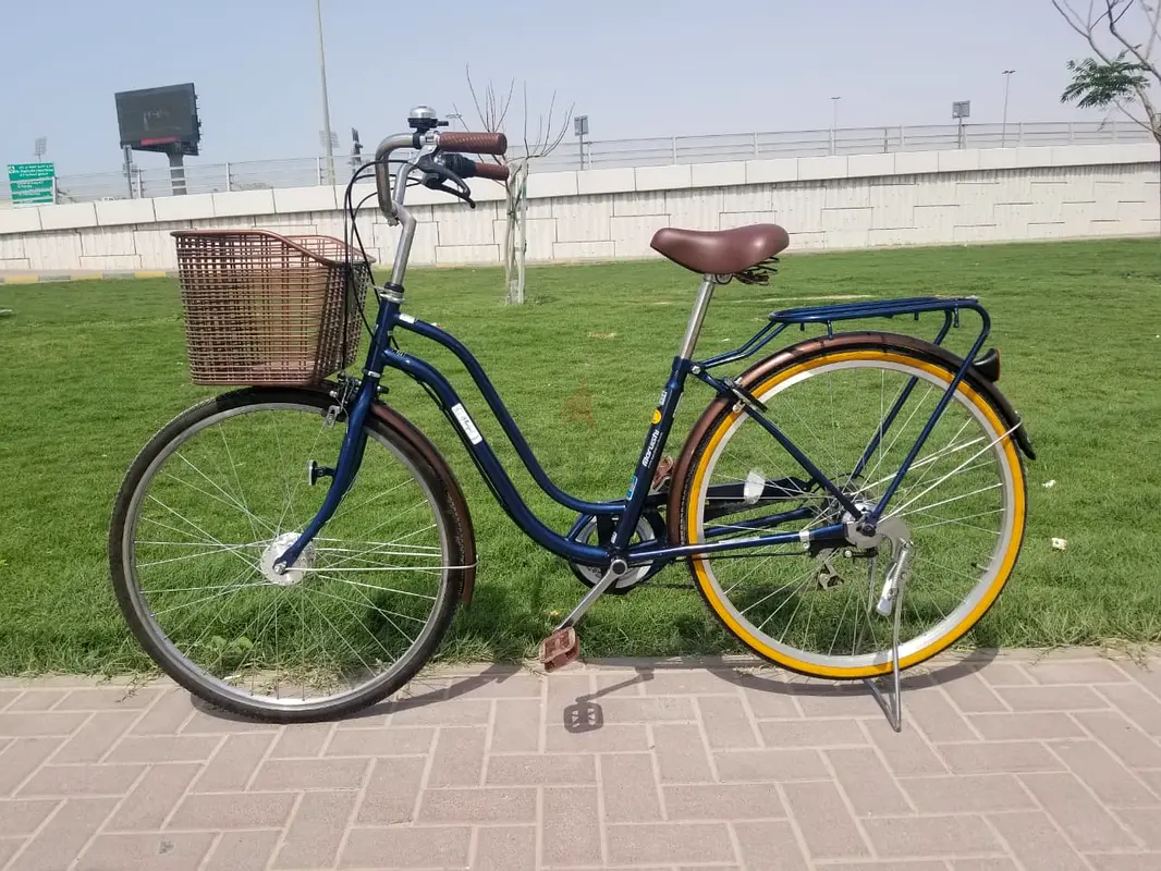 Ladies cruiser bike | dubizzle Dubai