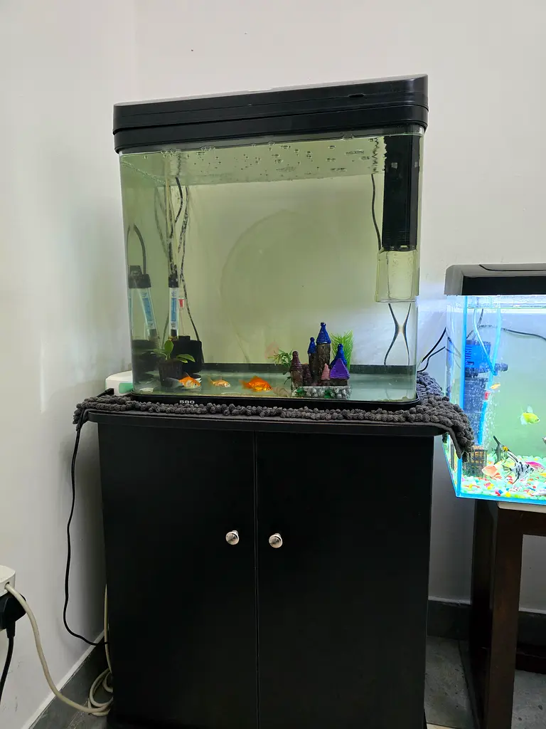 Beautiful Aquarium (no fish) urgent sale | dubizzle Dubai