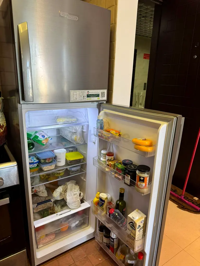 Stainless Steel Refrigerator in Great Condition | dubizzle Abu Dhabi
