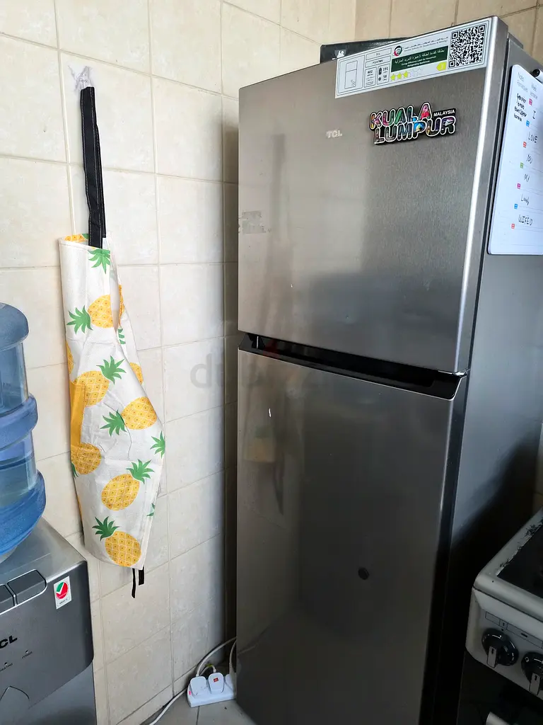 TCL Stainless Steel Refrigerator - Great Condition | dubizzle Dubai