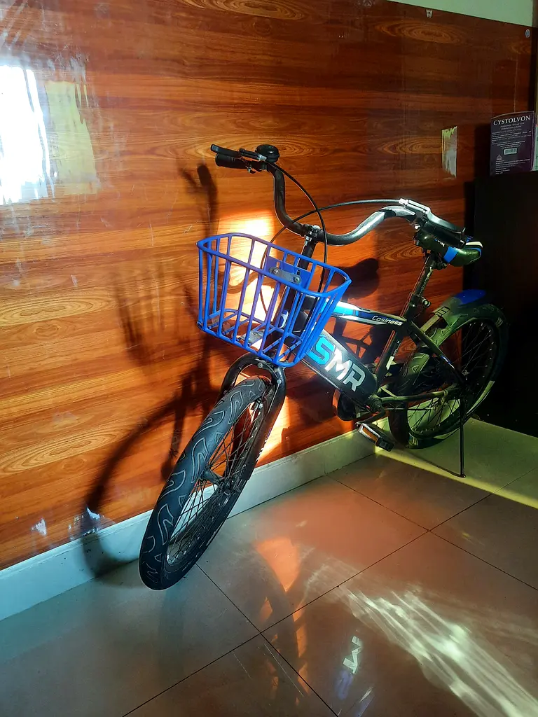 Used BMX Bike for Sale - Great Condition | dubizzle Sharjah