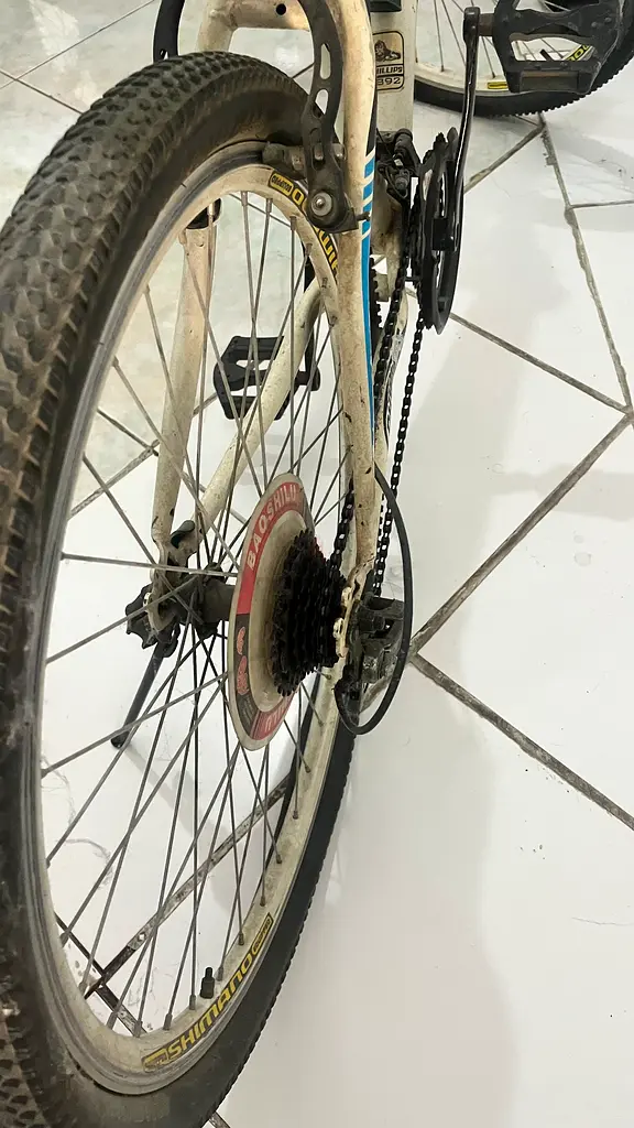 Phillips Mountain Bike | dubizzle Sharjah