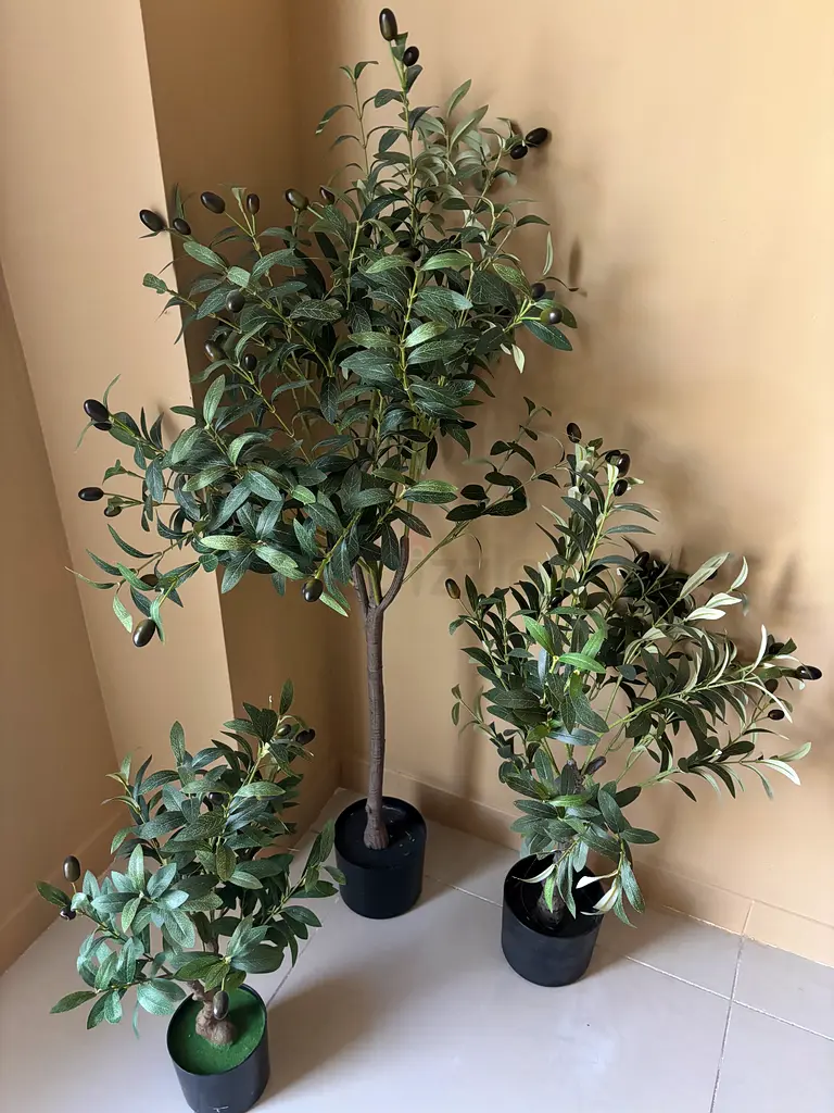 Olive trees (fake) | dubizzle Dubai