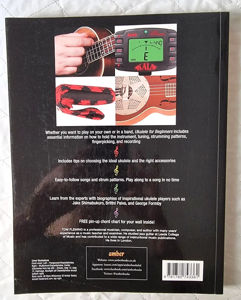 Ukulele for Beginners - Master the Uke! | dubizzle Dubai