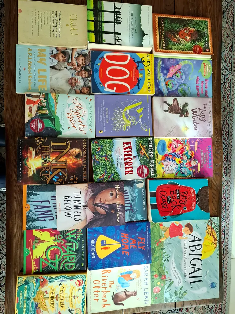 A Wonderful Collection of Childrens Books | dubizzle Sharjah