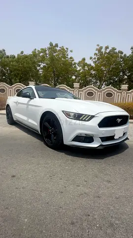 Used Ford Mustang With Foldable Rear Seats for Sale in Dubai | dubizzle