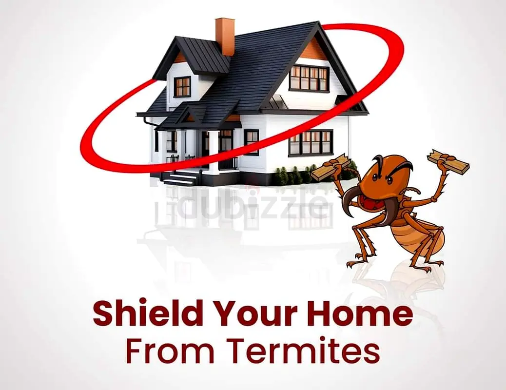 Pest control services in Dubai | dubizzle